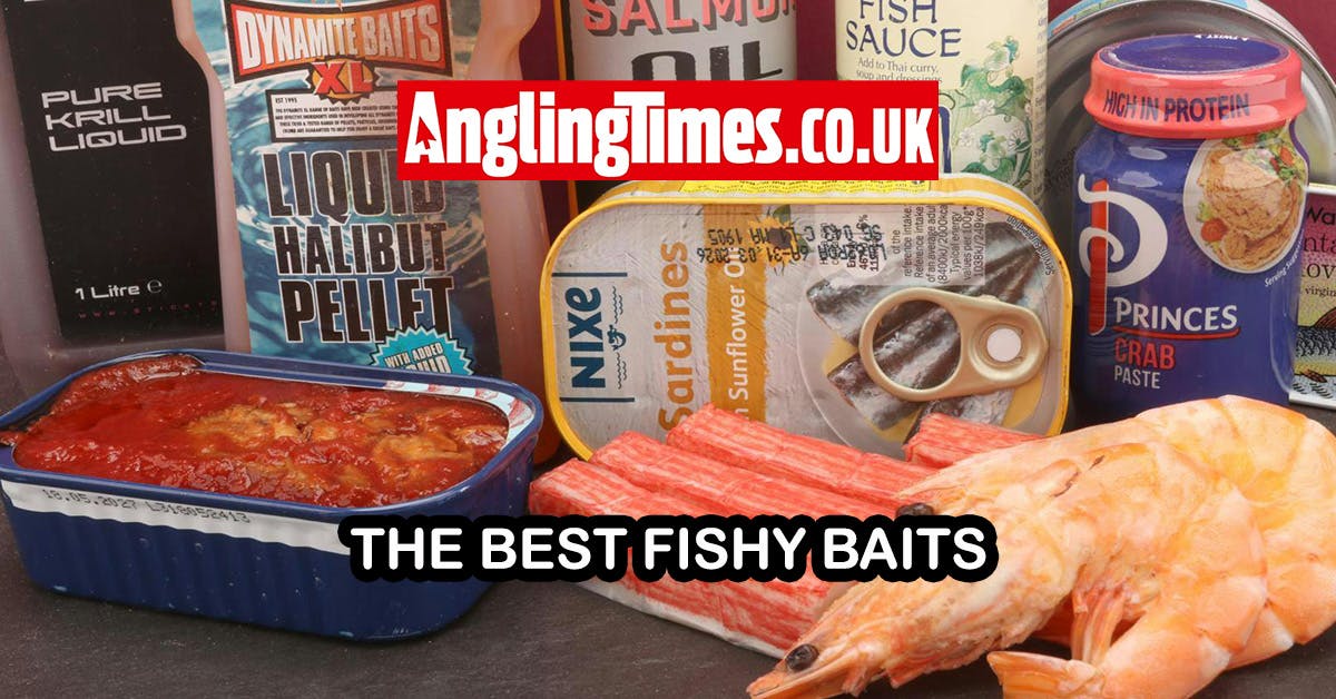 The best fishy baits to use for coarse fishing | Angling Times