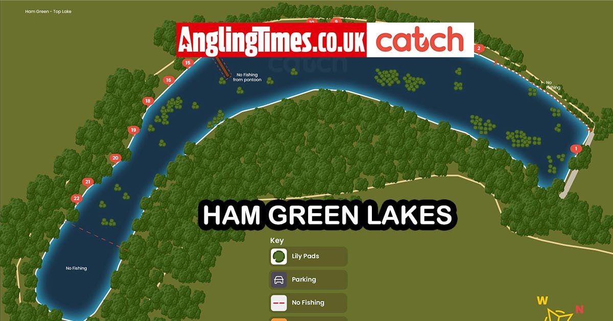 Fishery Focus | Ham Green Fishery, Top Lake | Angling Times
