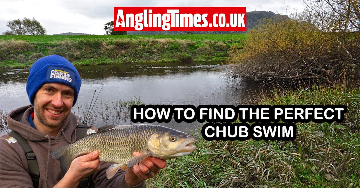 How to locate chub | the best features to fish on a river | Angling Times
