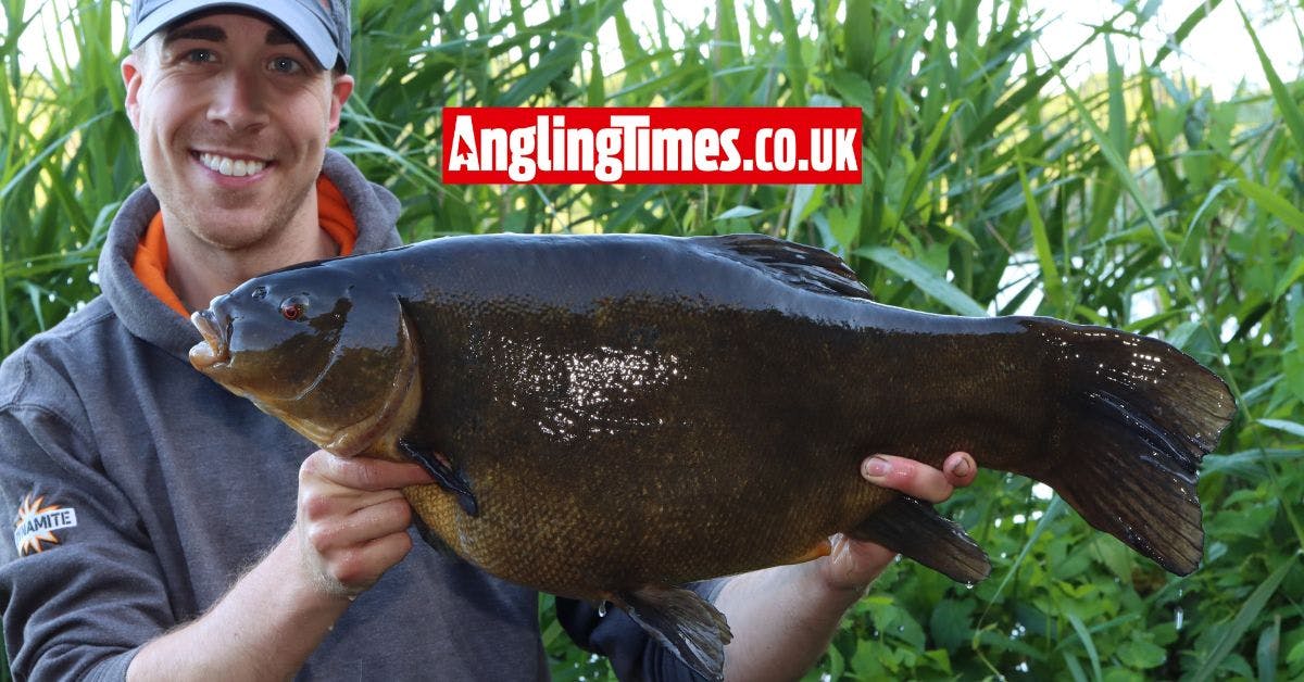 Huge tench that’s hooked twice smashes PB | Angling Times