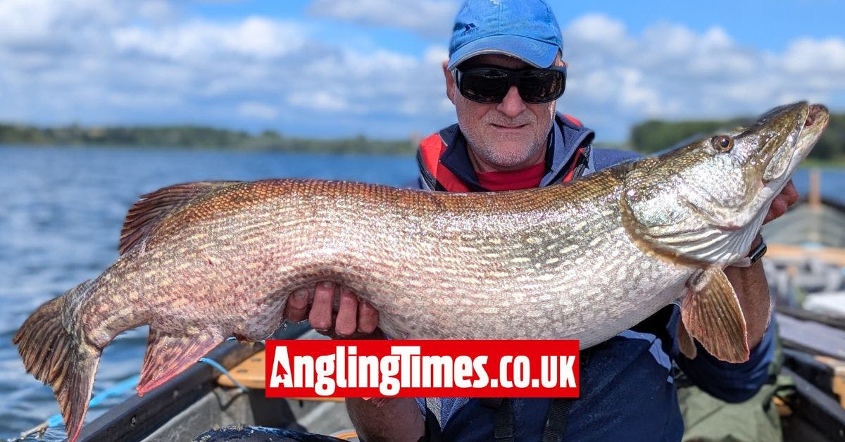 Massive pike caught on the fly | Angling Times