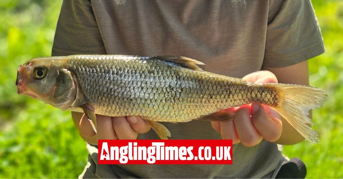 Record shaking dace landed by 10-year-old | Angling Times