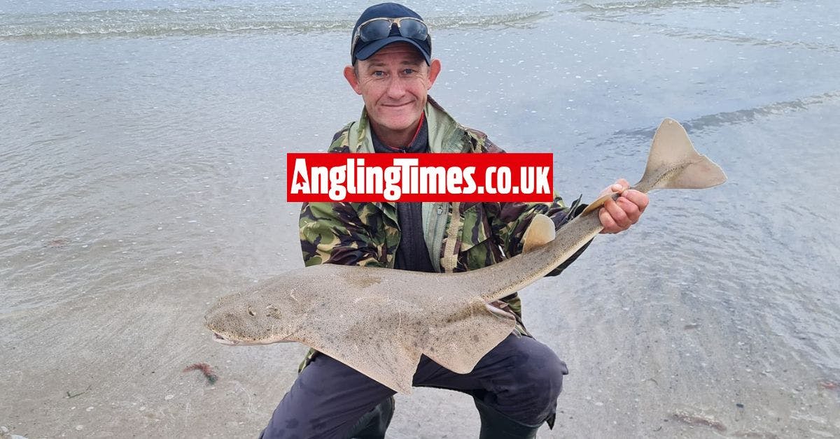 News Stories | News | Angling Times