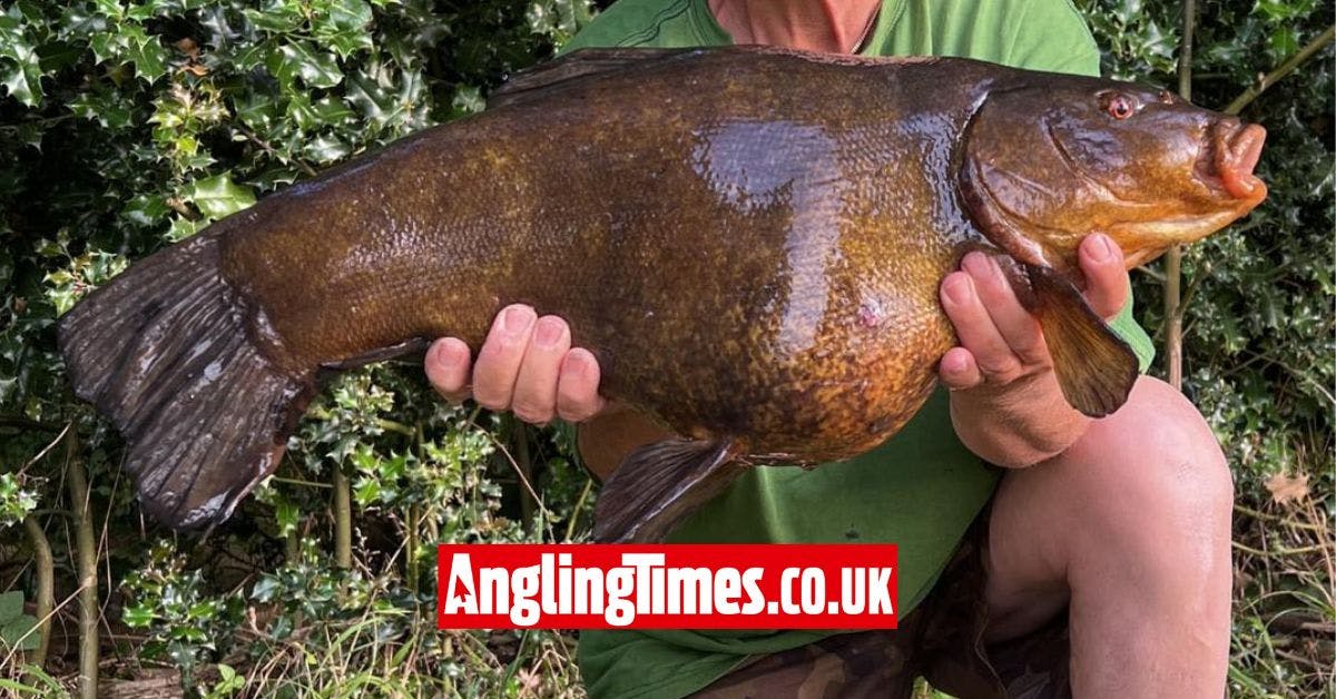 Spontaneous session results in tremendous tench capture | Angling Times