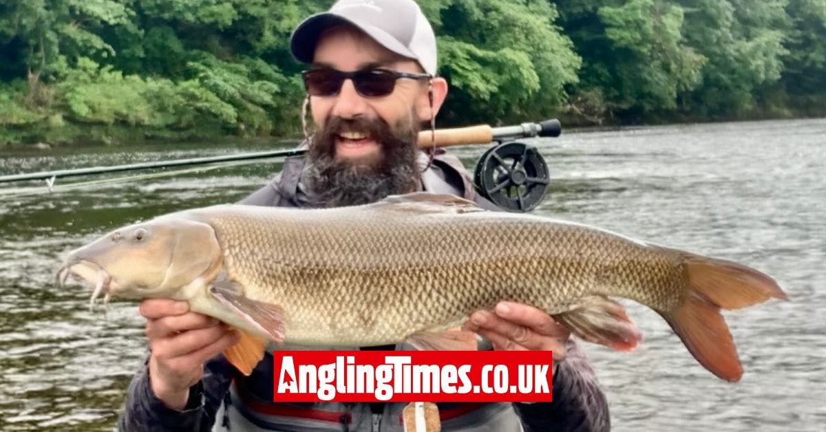 Superb barbel caught fly fishing | Angling Times