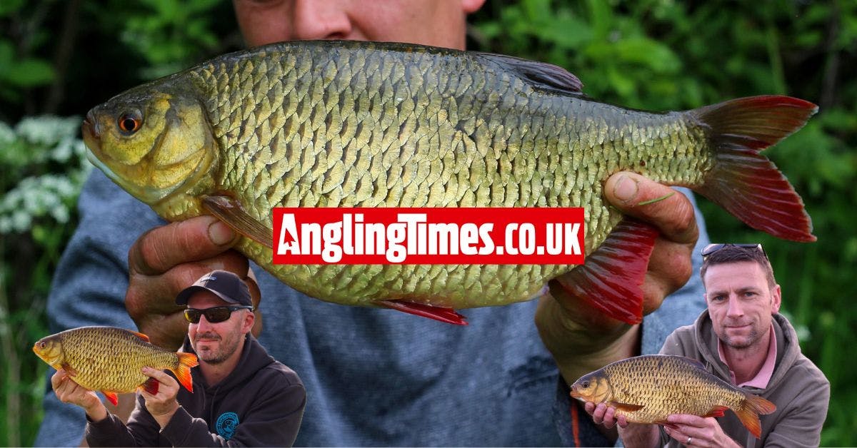 A big rudd revolution is happening on the Fens | Angling Times