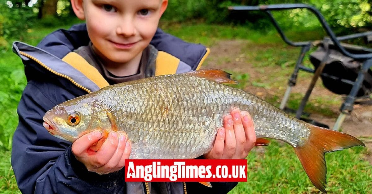 Is this the biggest roach ever caught by a child? | Angling Times