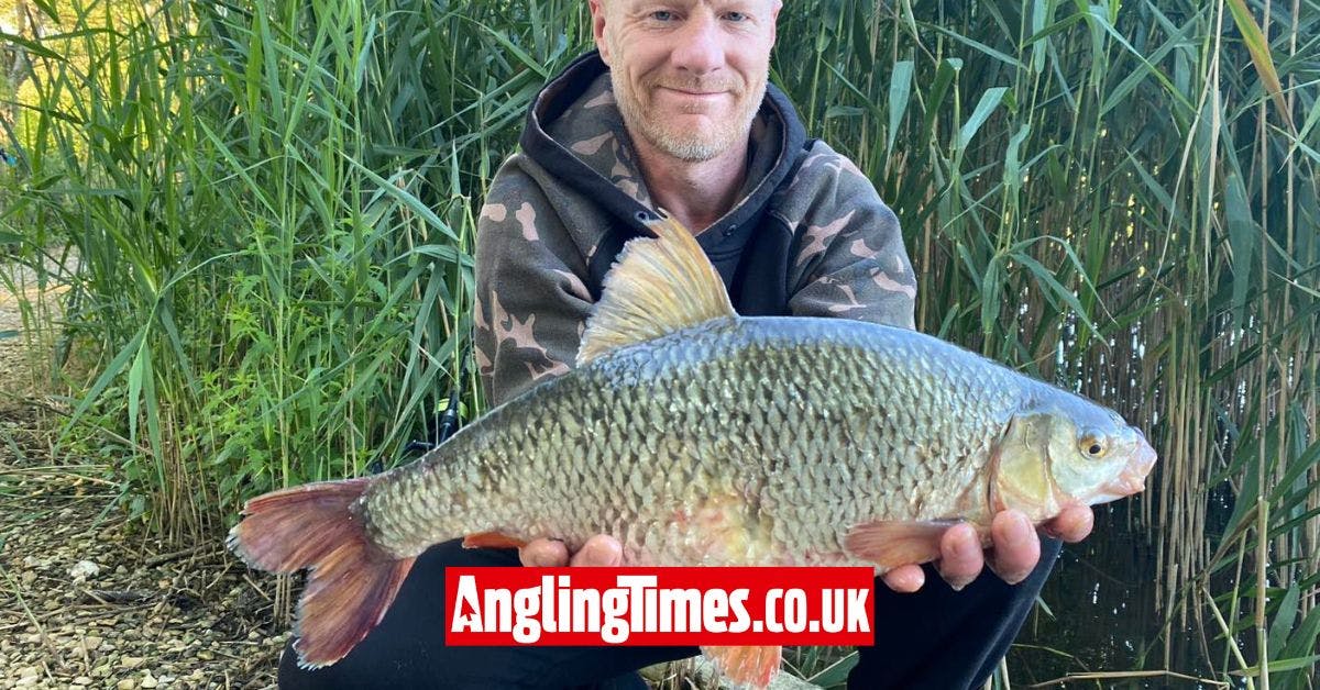 The British Record roach has been banked again | Angling Times