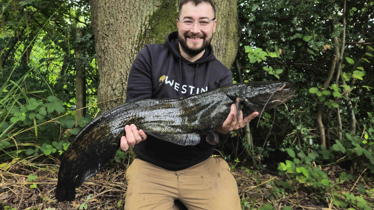 Canal catfish tows lure angler half-a-mile | Angling Times