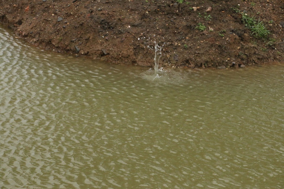 How and when to use a line clip when fishing | Angling Times