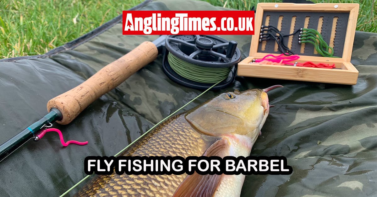 How to catch barbel on the fly | James Jennings | Angling Times