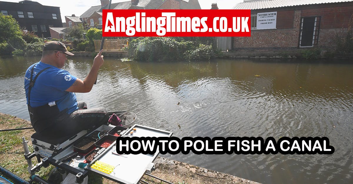 How to fish a pole on a canal in summer | Angling Times