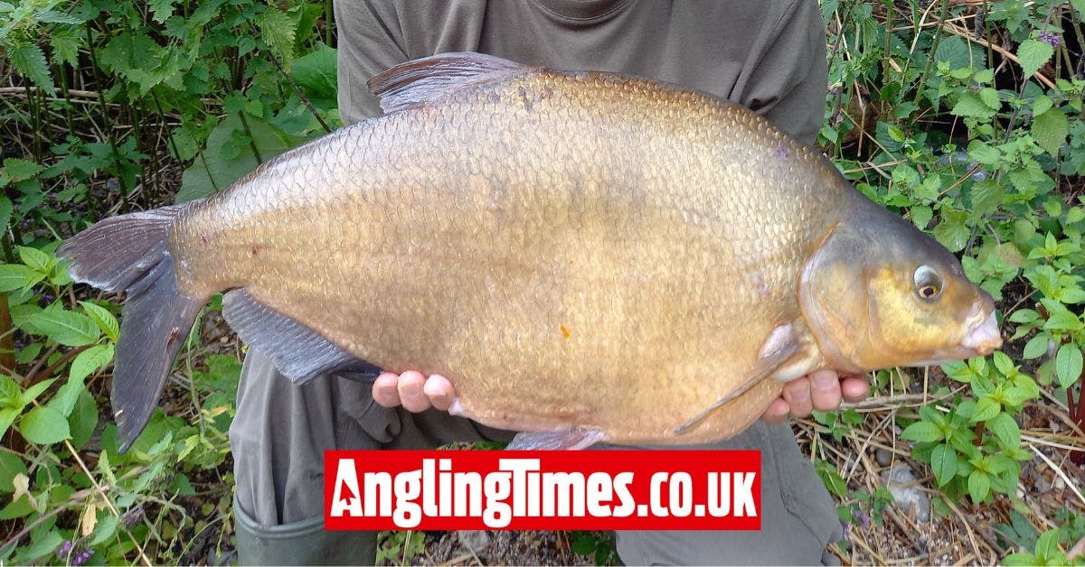 One of the biggest river bream ever caught | Angling Times