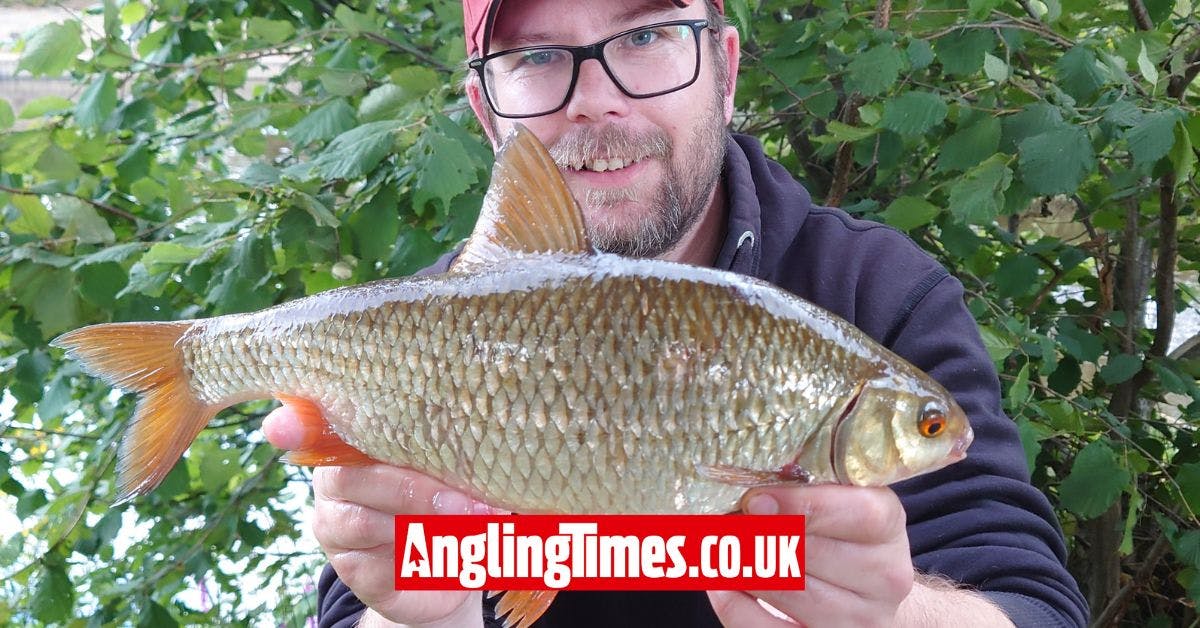 River session produces spectacular roach | Angling Times