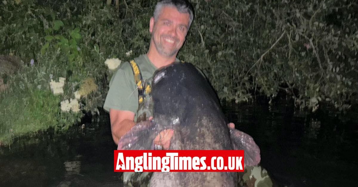 Giant catfish could have been a British Record | Angling Times