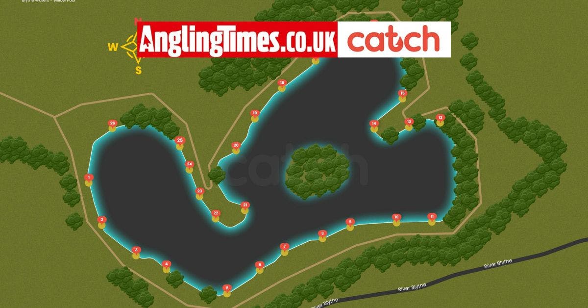 Fishery Focus | Blythe Waters, Willow Pool | Angling Times