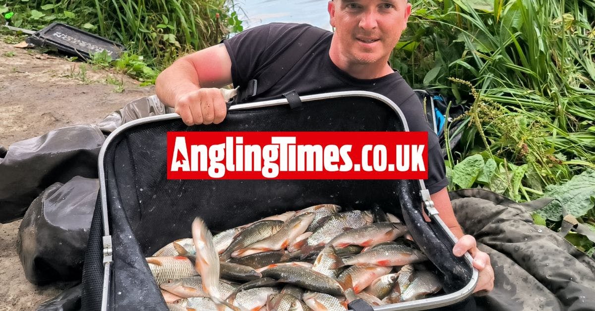 Angler catches 50lb of roach instead of 500lb of carp | Angling Times