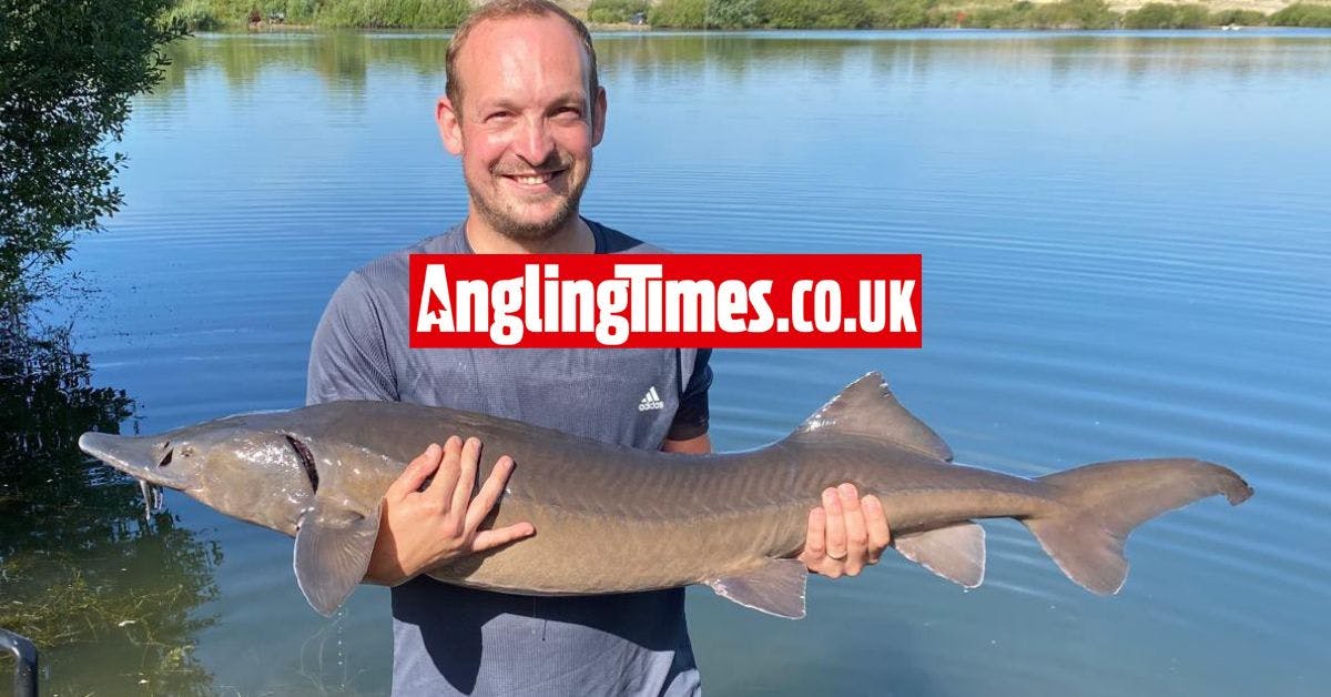 Huge sturgeon caught on the pole after 1 hour battle | Angling Times