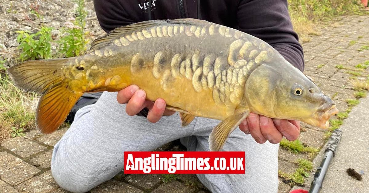 Shock carp caught on a lure | Angling Times