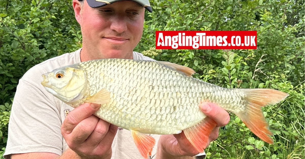 Big roach landed from tricky gravel pit | Angling Times