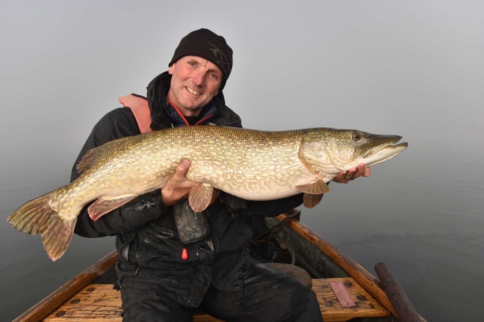 Fishing for pike | How to choose the best deadbaits | Angling Times