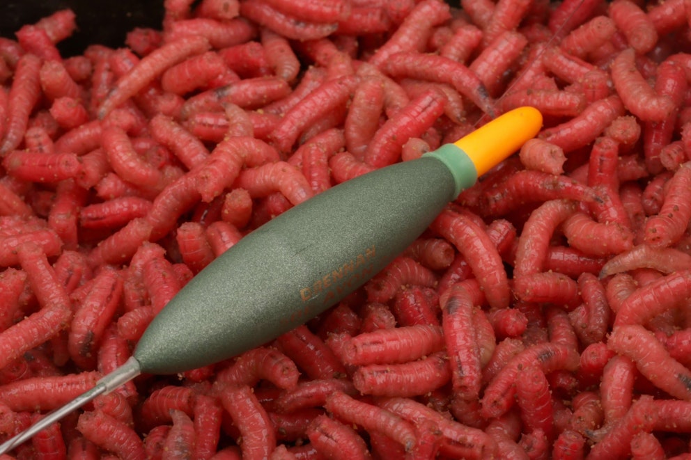 The best baits to catch grayling | Angling Times