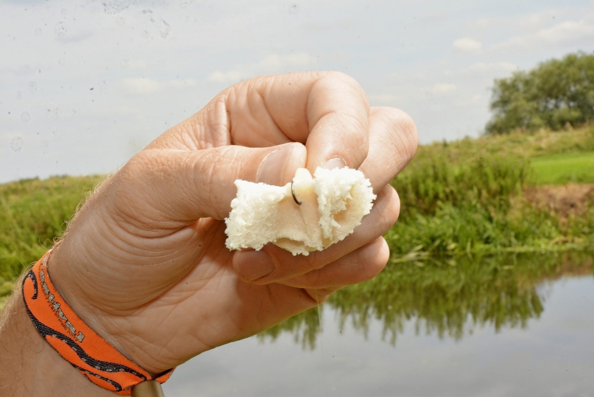 Get The Best Out Of Bread: A Beginner's Guide