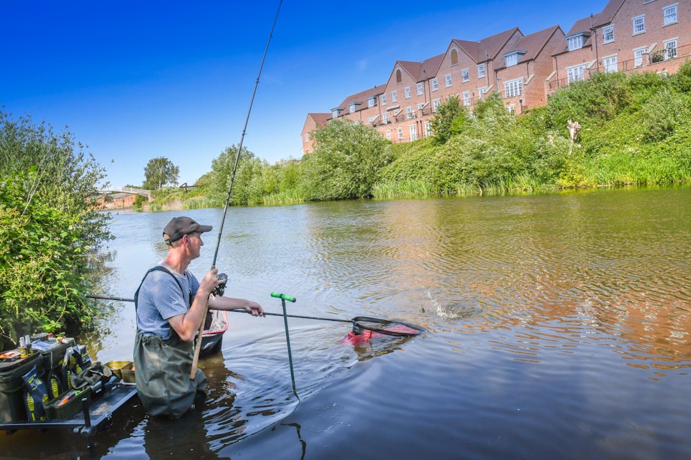 How to catch specimen river roach on pellets | Angling Times