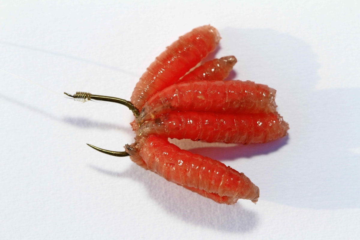 How to catch carp on snake lakes | Steve Ringer | Angling Times