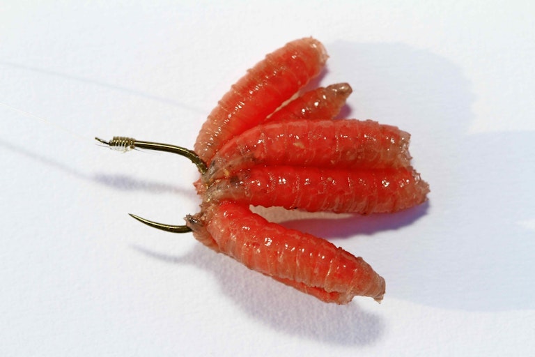 How to catch carp on snake lakes | Steve Ringer | Angling Times