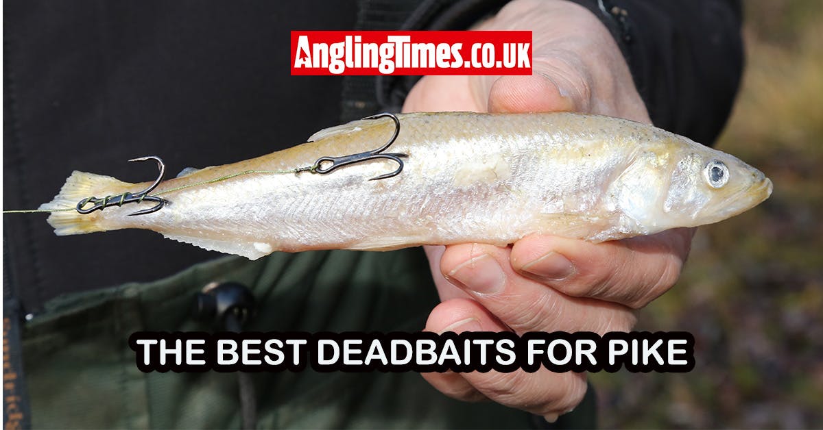 Best deadbaits for pike