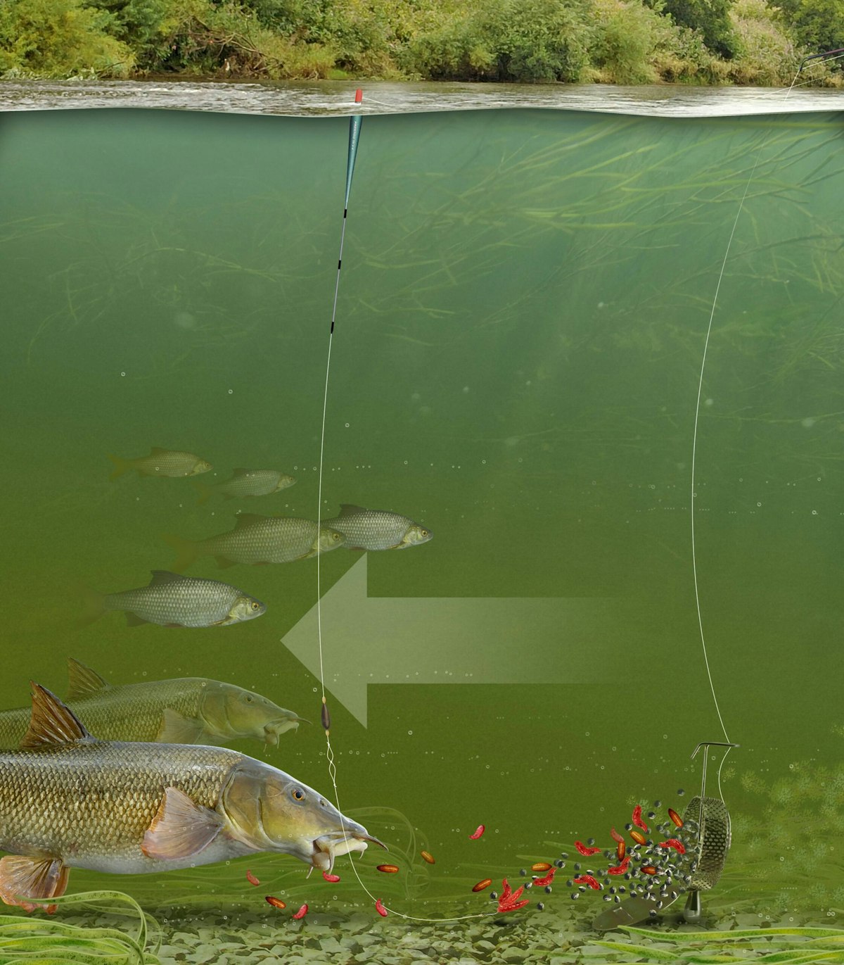 The only barbel rigs you’ll ever need! | Angling Times