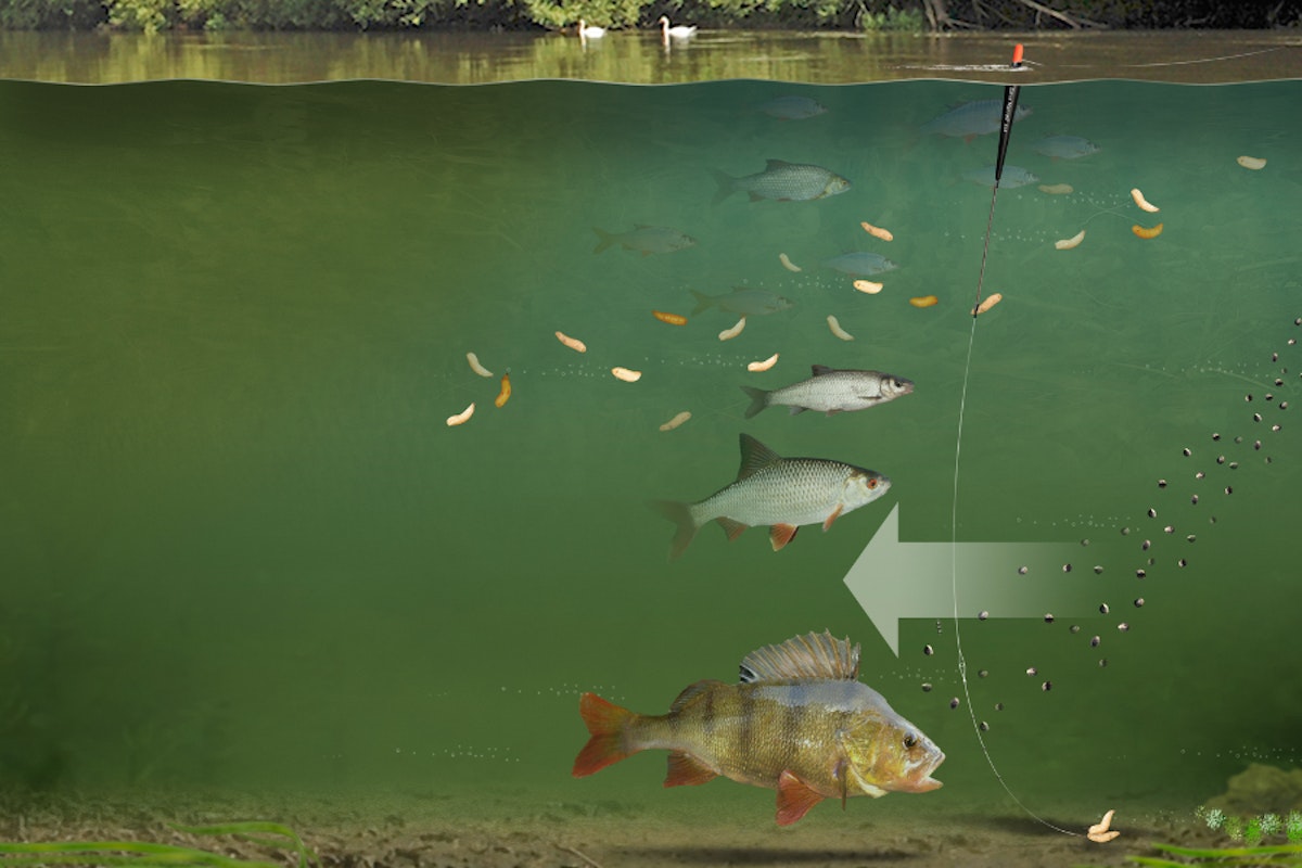 How to improve your river fishing | rigs and tactics guide | Angling Times