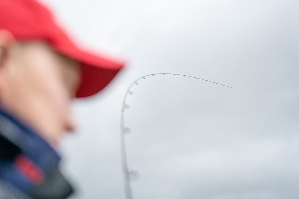 The 9 best carp feeder rods | Perfect for Method feeder fishing