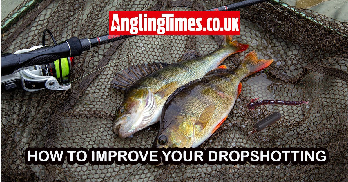 How to use the dropshot method | tackle and tips | Angling Times