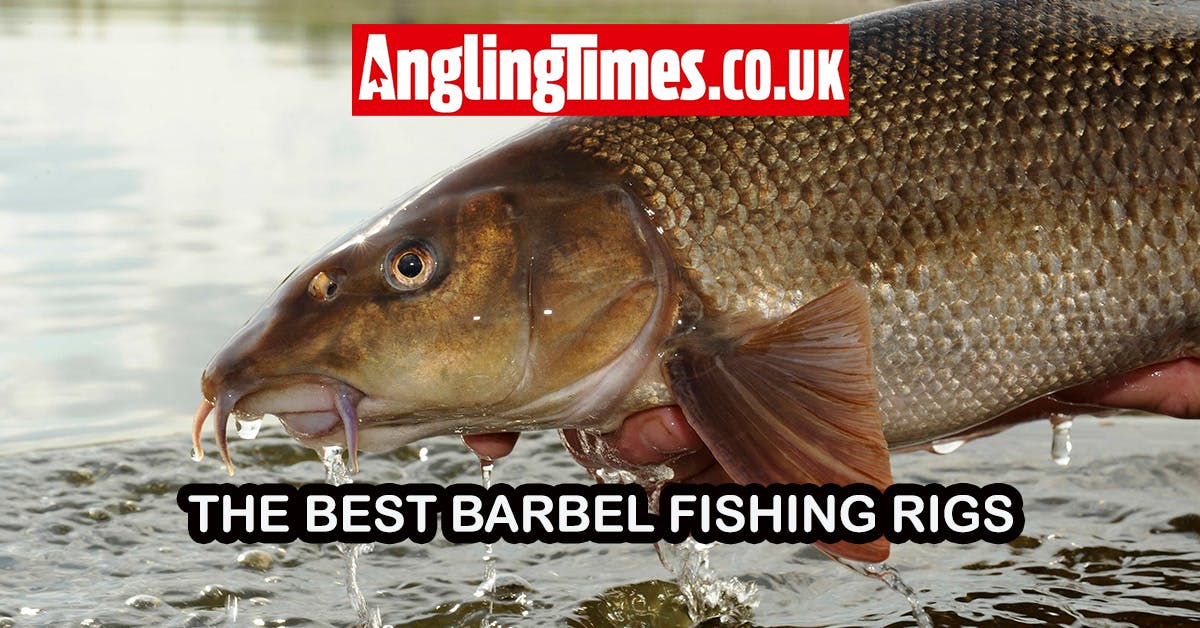 The only barbel rigs you’ll ever need! | Angling Times