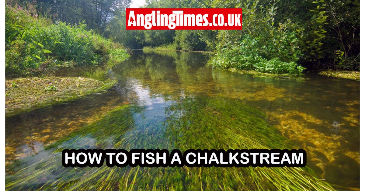 A guide to fishing chalk streams | Angling Times