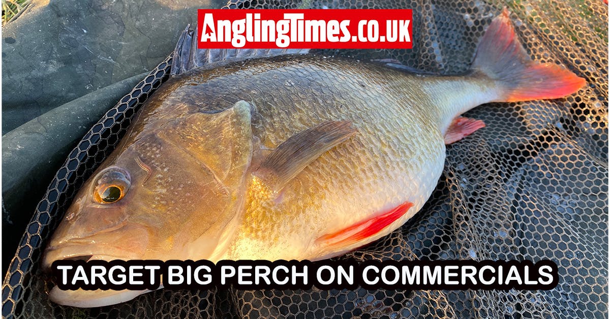 Tips | Advice | Angling Times