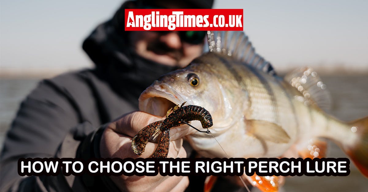 How to choose the right lure for perch fishing | Angling Times