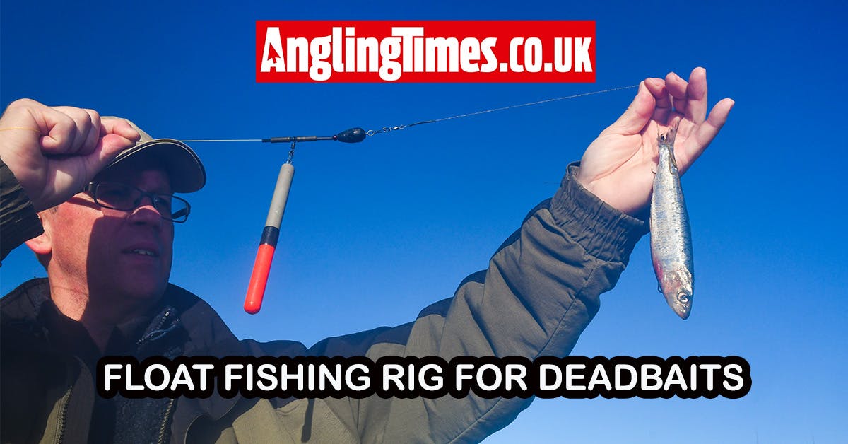 Effective deadbait float fishing rig for pike | Angling Times