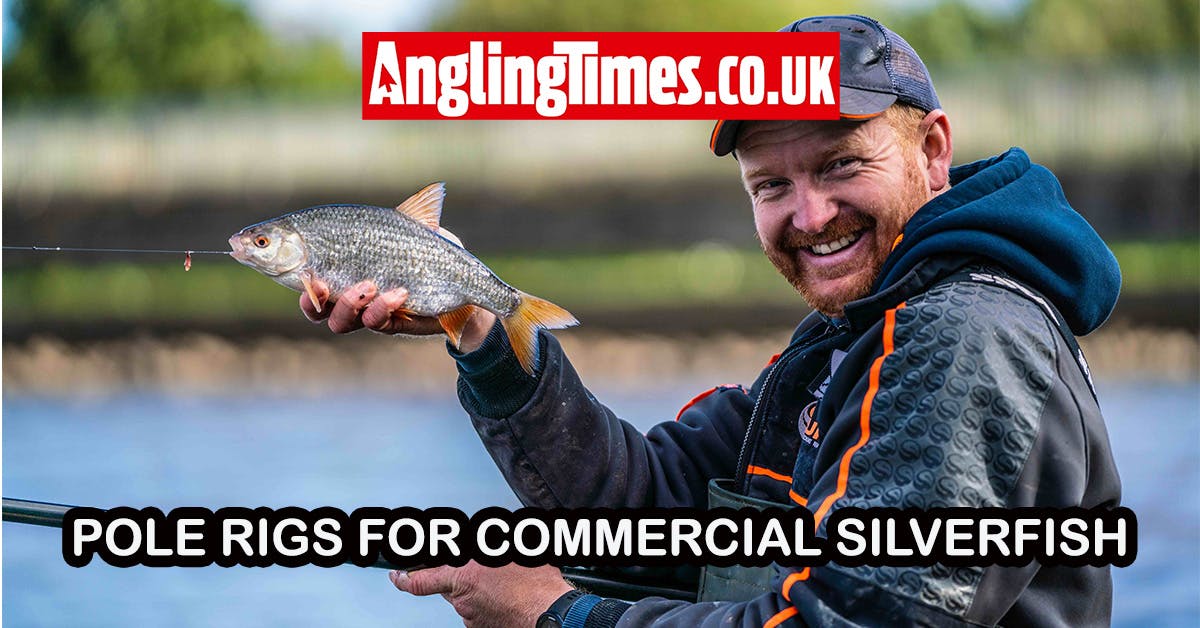 Two great pole fishing rigs for commercial silverfish | Angling Times