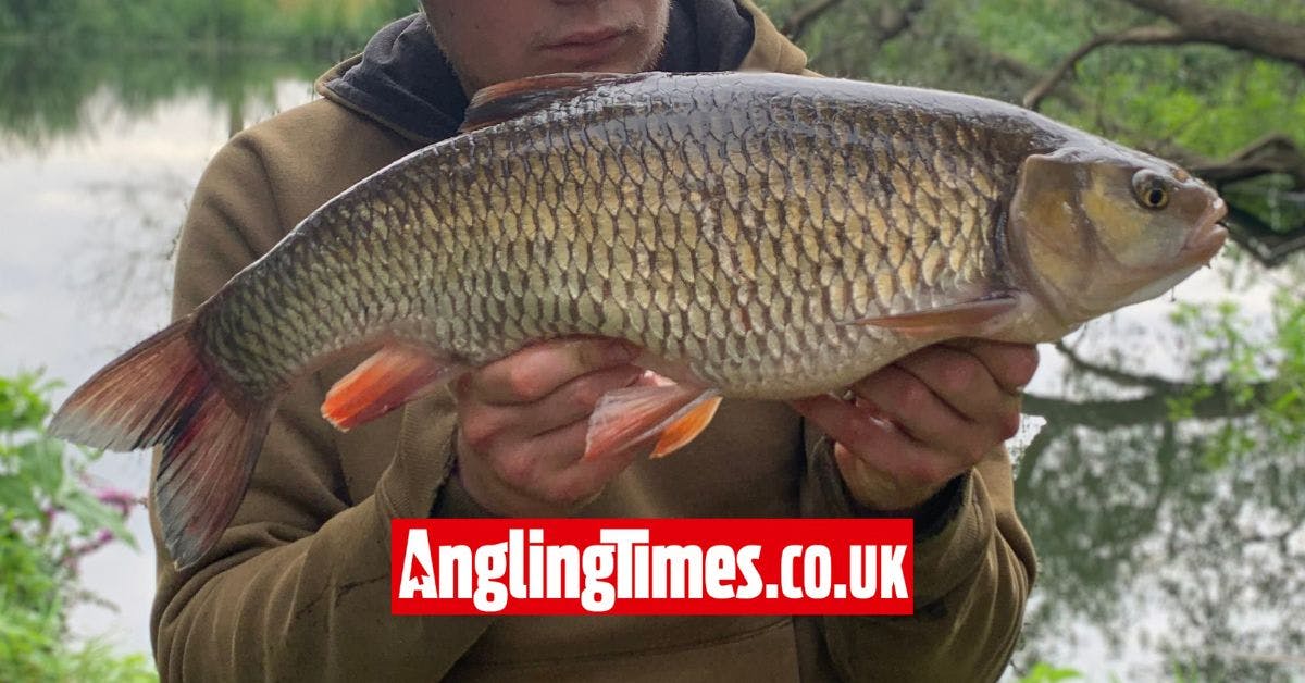 Carp tactics fool enormous chub | Angling Times