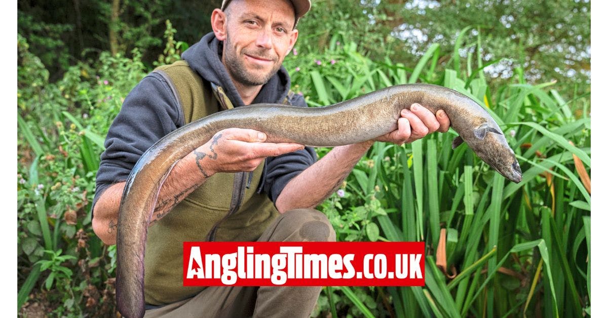 100 night blank ends with giant eel capture | Angling Times