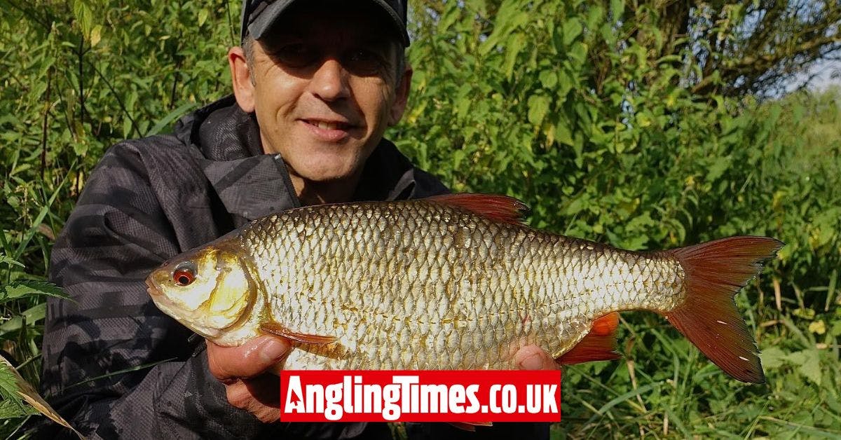 Now could be the time to catch a 2lb river roach | Angling Times