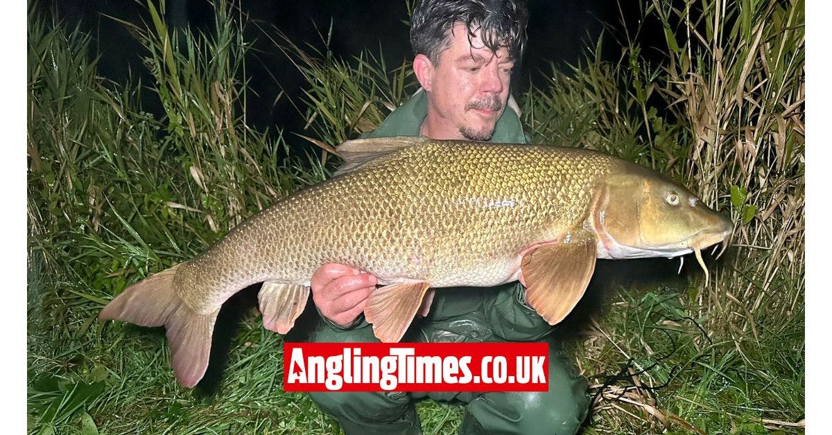 Gigantic Hampshire Avon barbel is a fish of a lifetime | Angling Times
