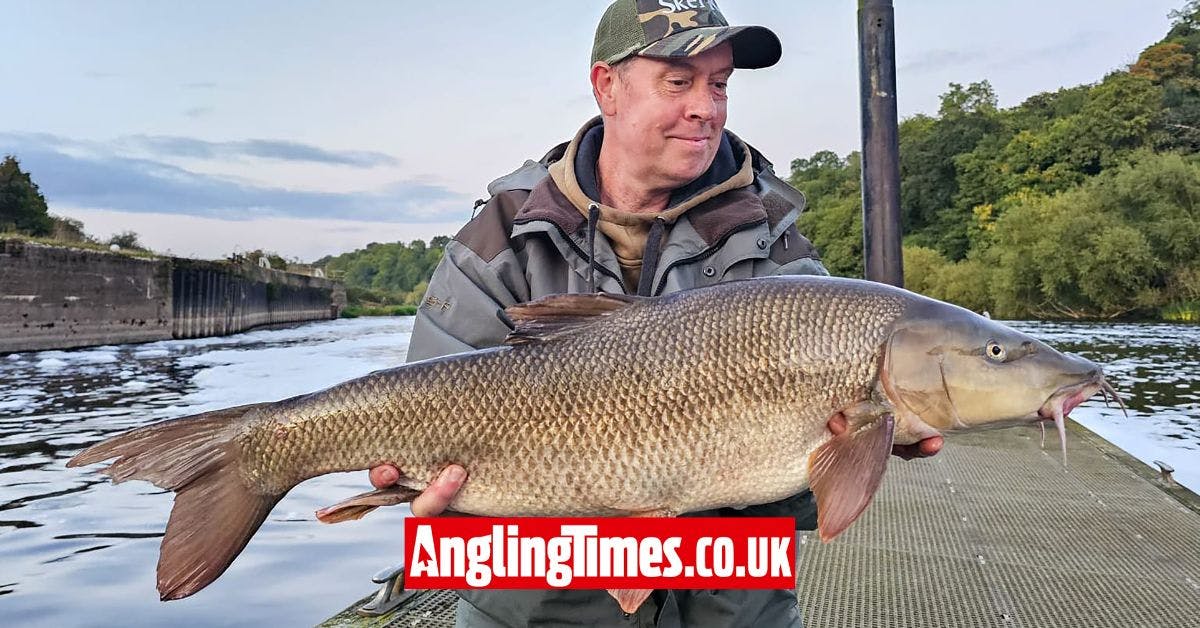 Massive barbel landed on first cast with new bait | Angling Times