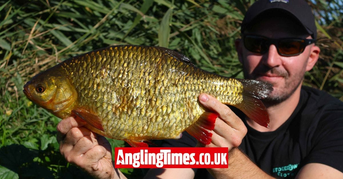 Huge rudd caps off superb seasons angling | Angling Times