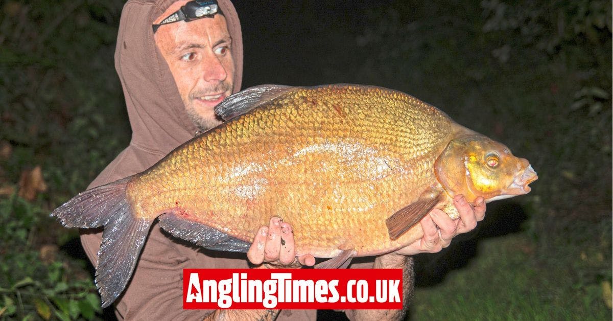 Monster river bream could be the biggest ever landed | Angling Times