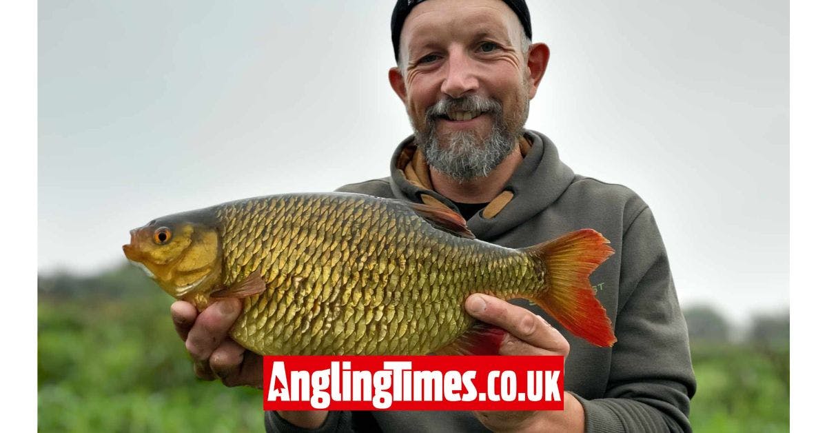 Massive rudd tops off incredible season | Angling Times