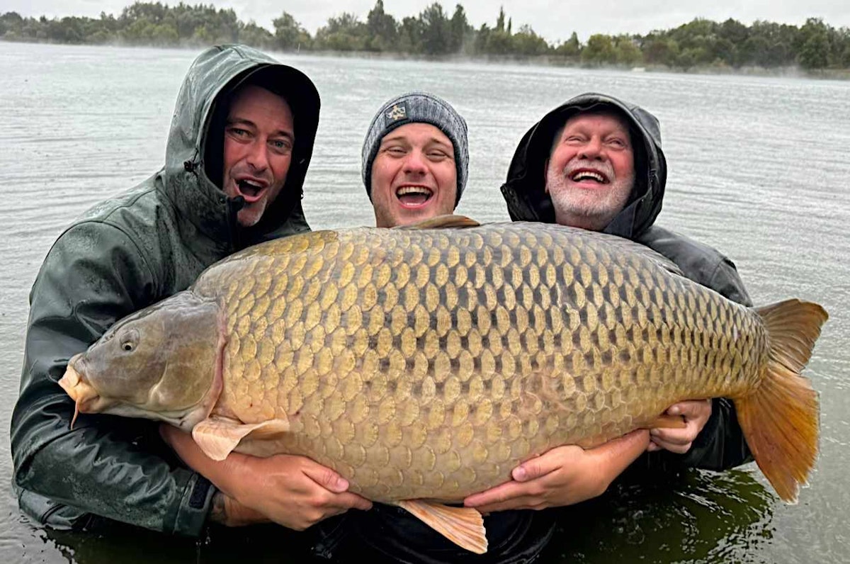 The world’s biggest common carp has been caught | Angling Times
